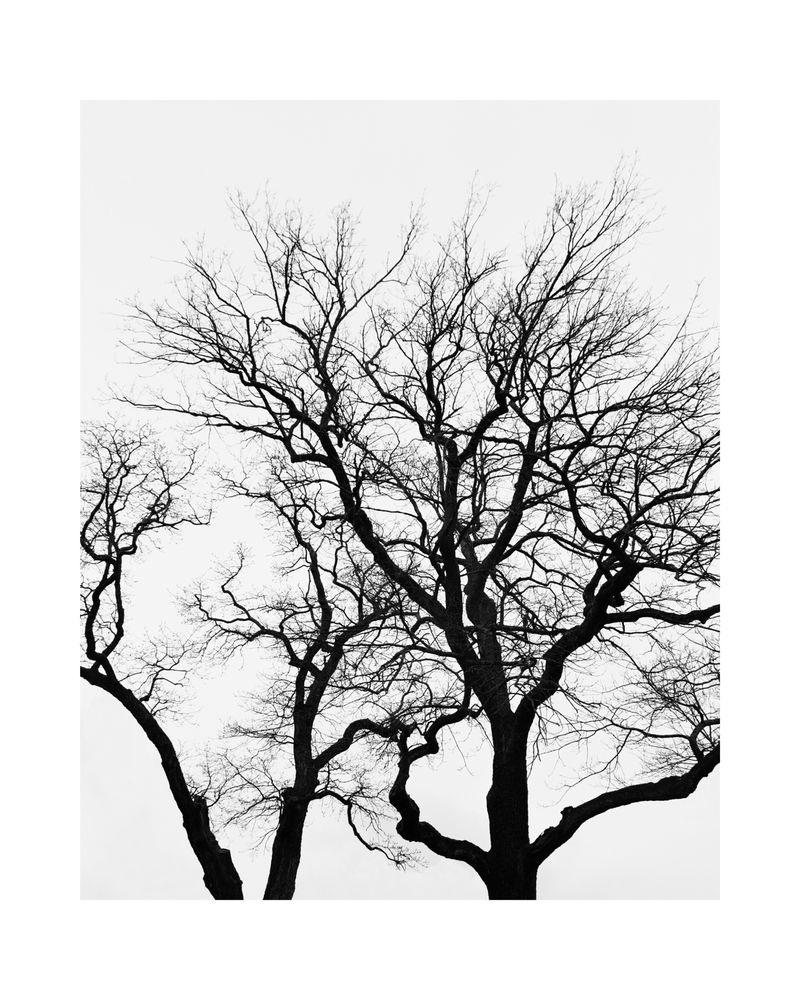 Persona (Vogue Ukraine)