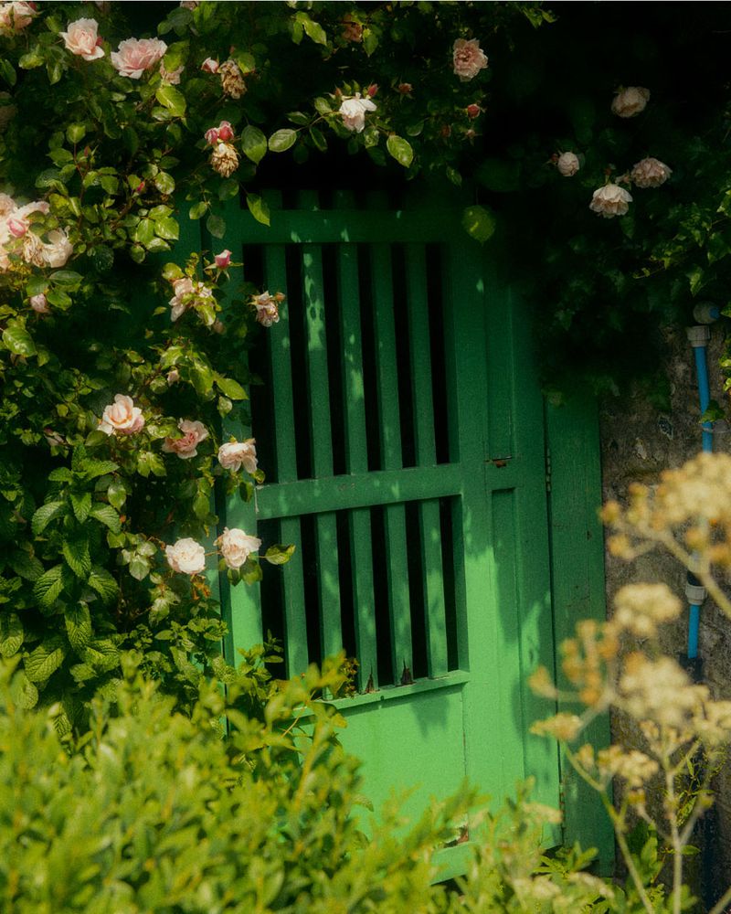 AD x LOEWE x Charlie McCormick (Portrait)