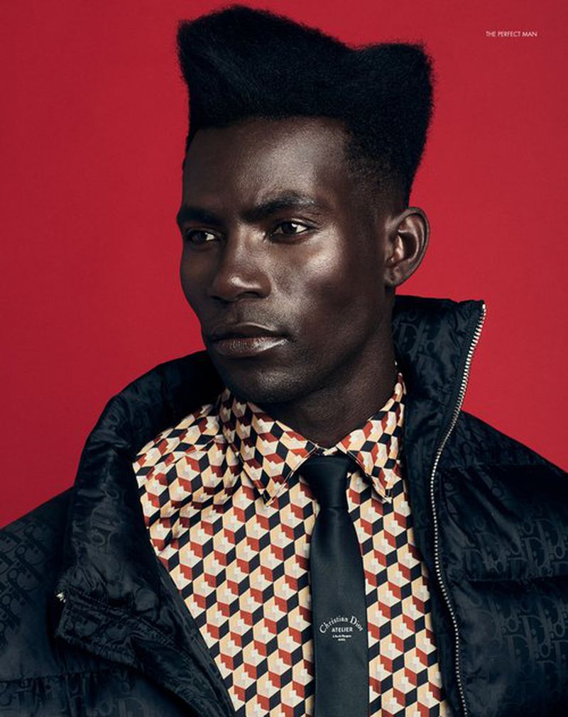 Flight of Fancy (The Perfect Man Magazine)