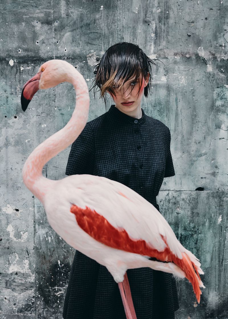 The bird cage x Dior (Grazia International)