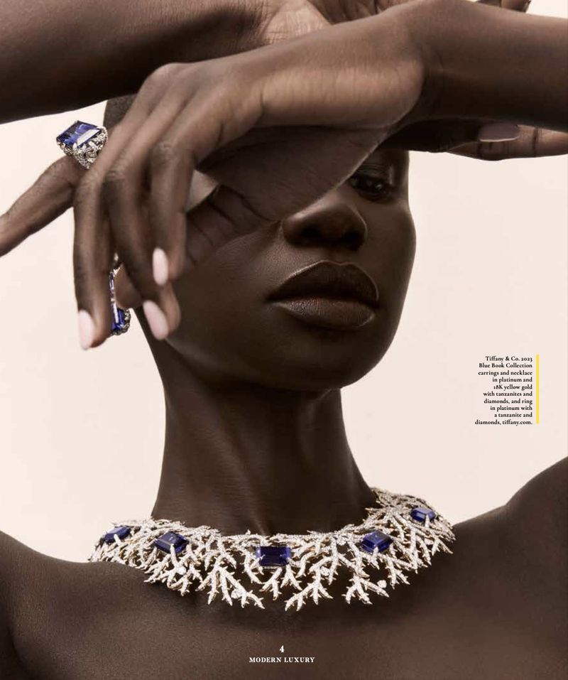 TIFFANY AND CO. (Modern Luxury)