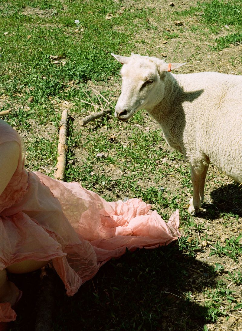 meet me in the barn (Schön Magazine)