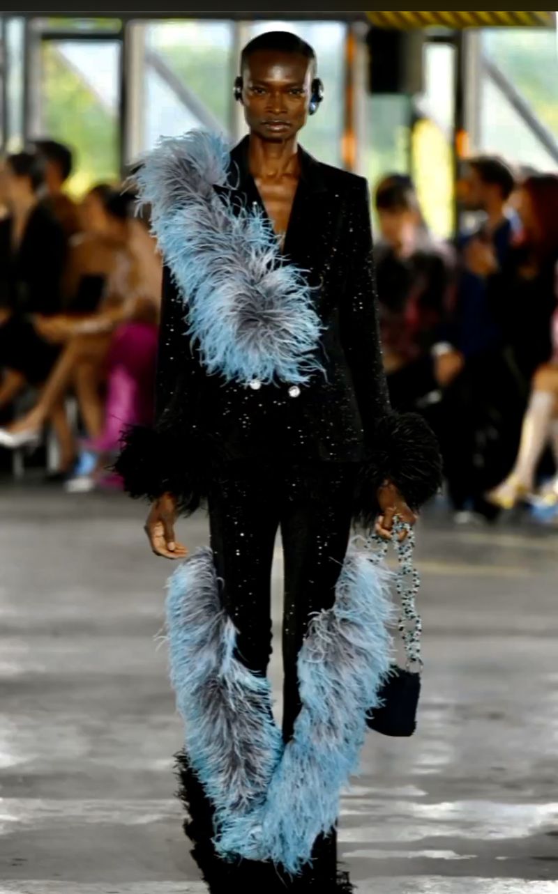 Germanier S/S 24 Show (Germanier)