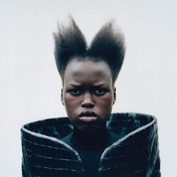 Stef Mitchell - Photographer Profile - Photos & latest news