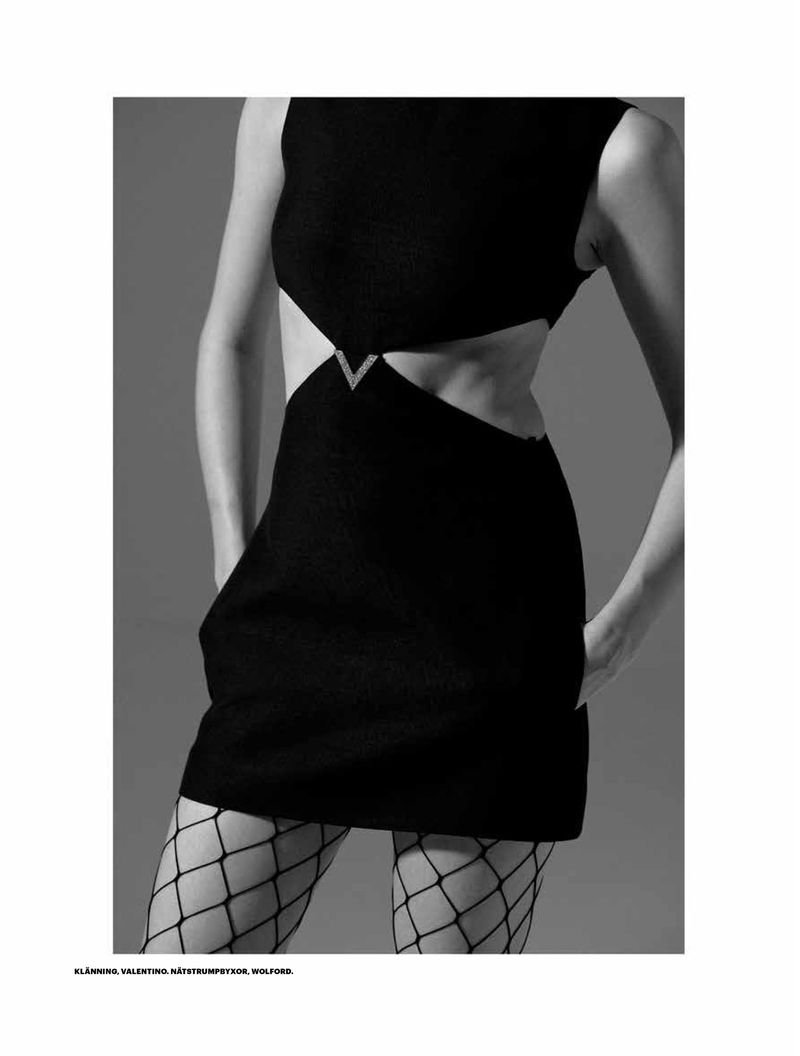 Basic Instinct. (Plaza Magazine)