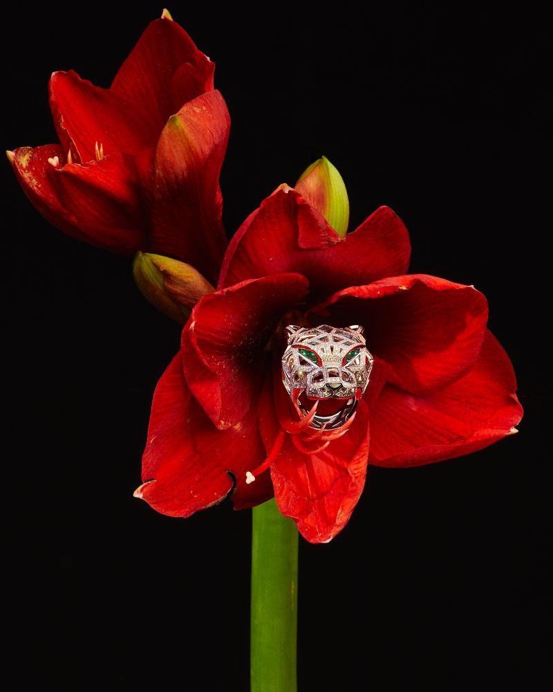 Çizgi-Dışı Uyum (Elle Türkiye)