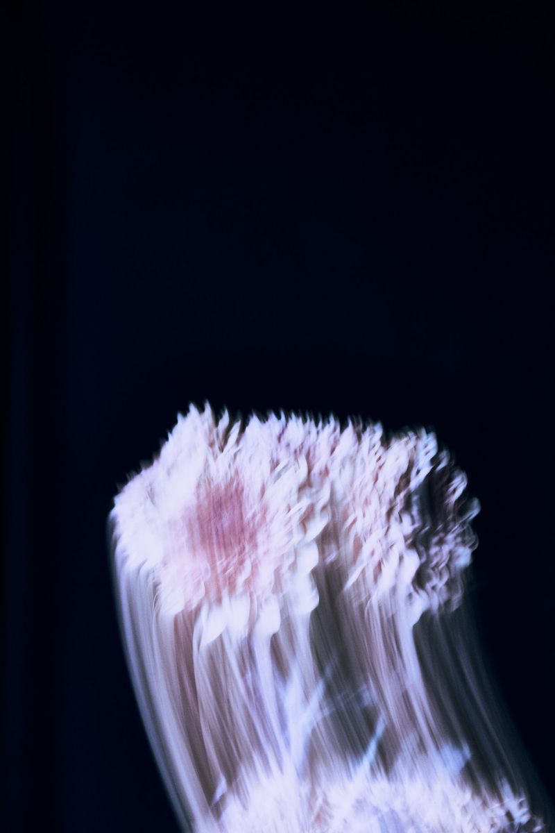 Zara MOON COLLECTION (Zara)