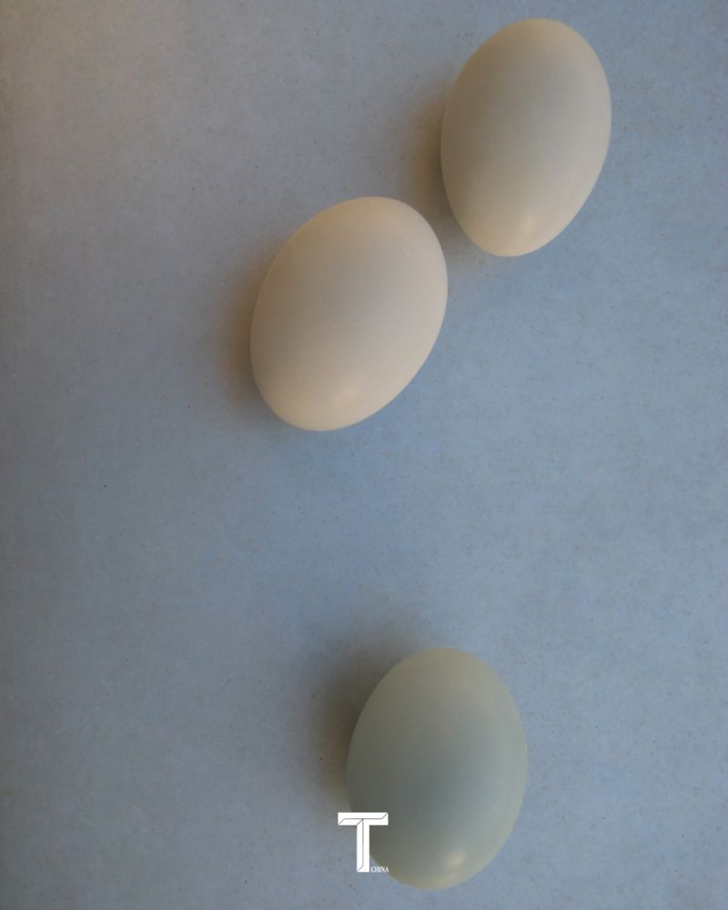 Before leaving the window (T Magazine China)