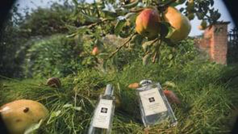 English Pear (Jo Malone)