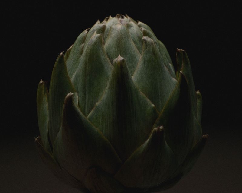 Preserve (Portrait)