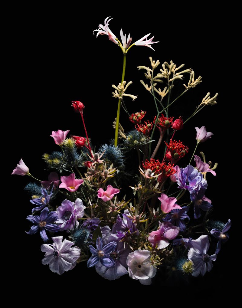 Garden of Eden (Vogue Adria)