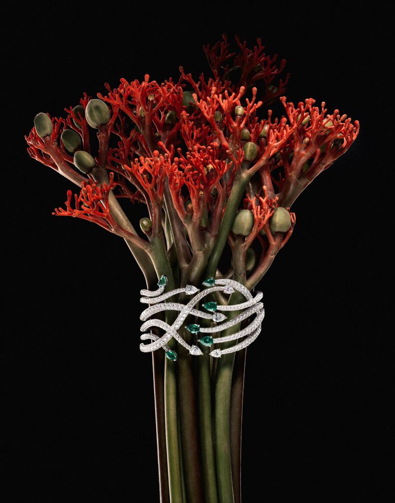 Garden of Eden (Vogue Adria)