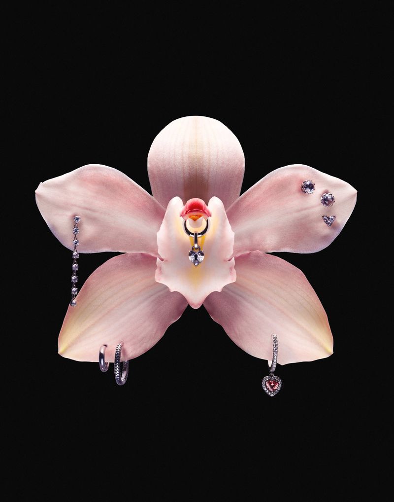 Garden of Eden (Vogue Adria)