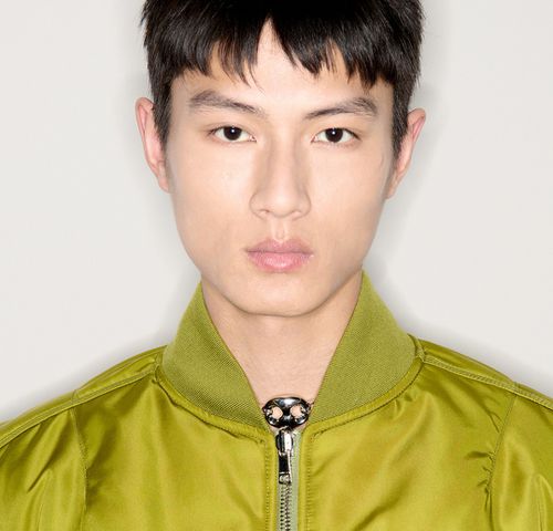Li Yankun - Model - detail by client
