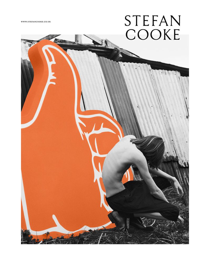 Stefan Cooke Spring/Summer 2024 Campaign "Away" (Stefan Cooke)
