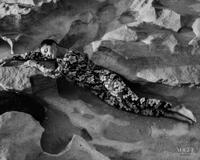 Mahina Florence - Model Profile - Photos & latest news