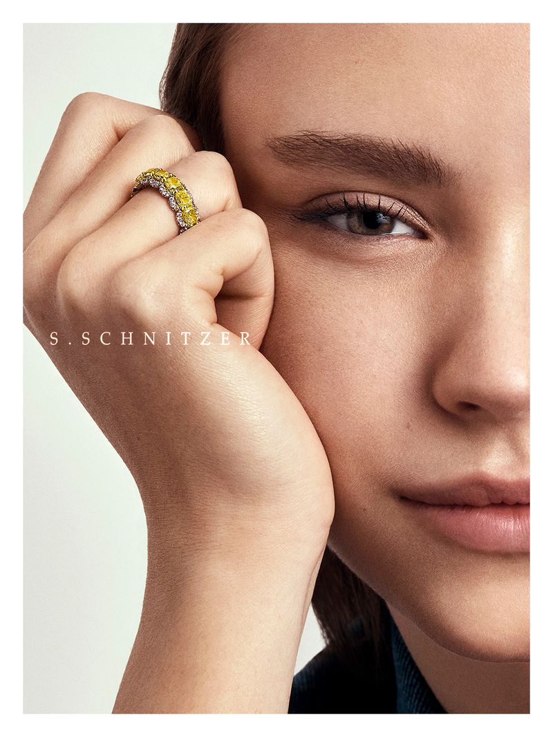 S. Schnitzer (Various Campaigns)