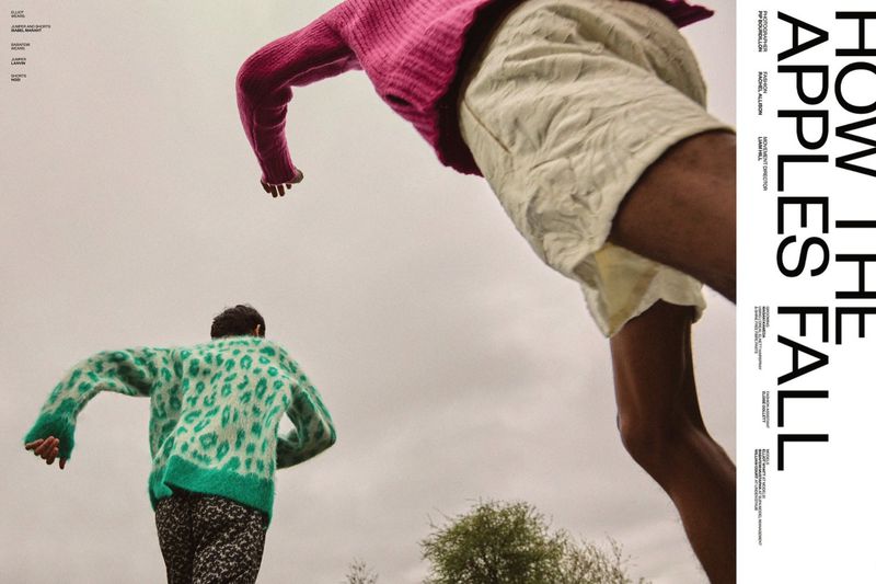 How The Apples Fall by Pip Bourdillon (Behind the Blinds)