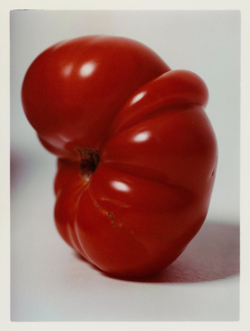 Available Objects (Portrait)