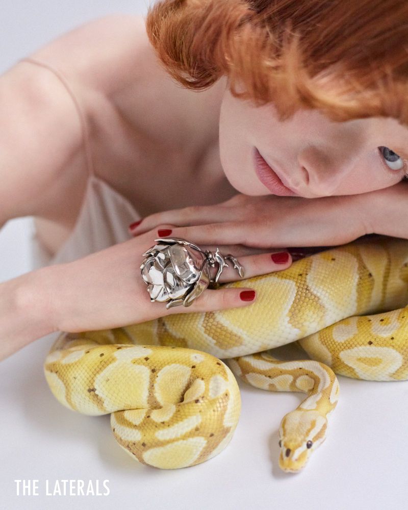 Symbiosis by Christopher Fenner (The Laterals)