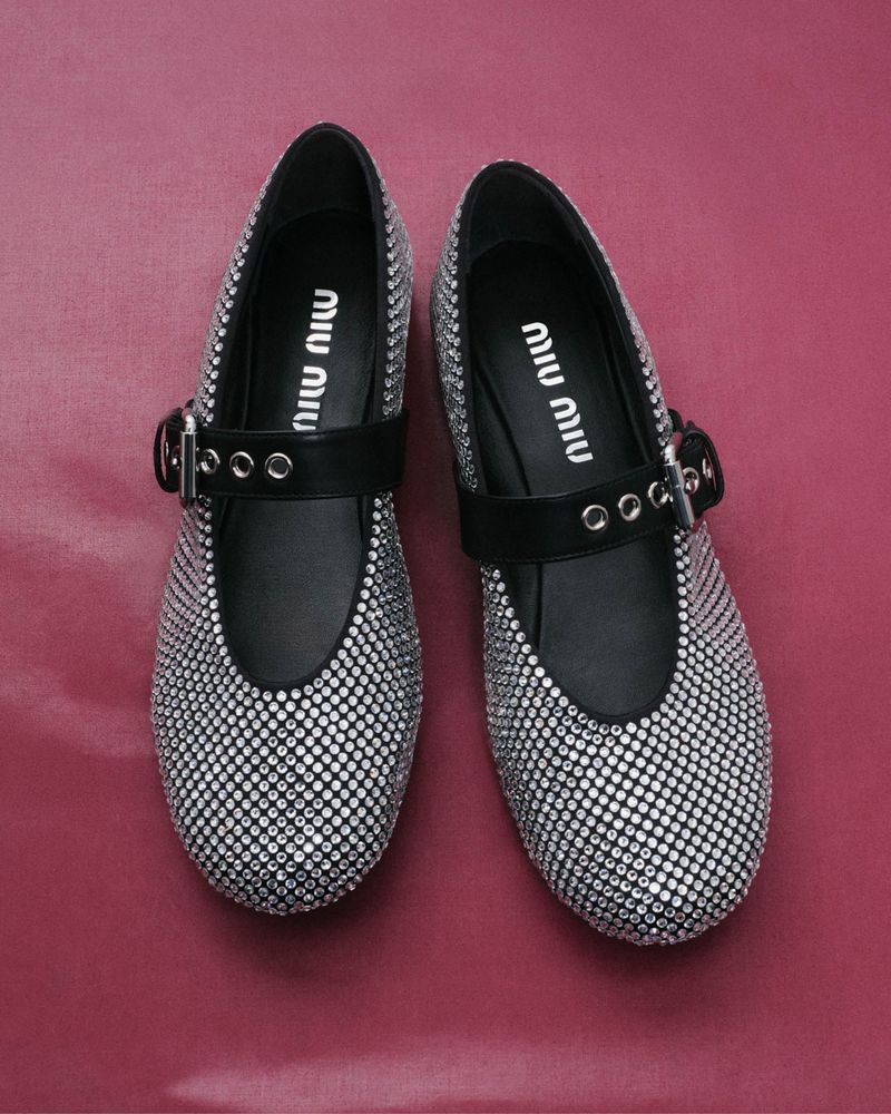 Miu Miu Fall/Winter 2024 Accesories (Miu Miu)