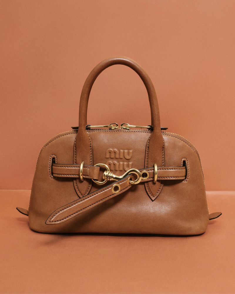 Miu Miu Fall/Winter 2024 Accesories (Miu Miu)