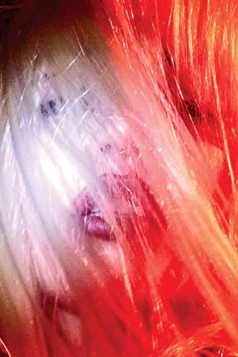 Ava Max for Issue 193, The Gold Standard Issue (Flaunt)