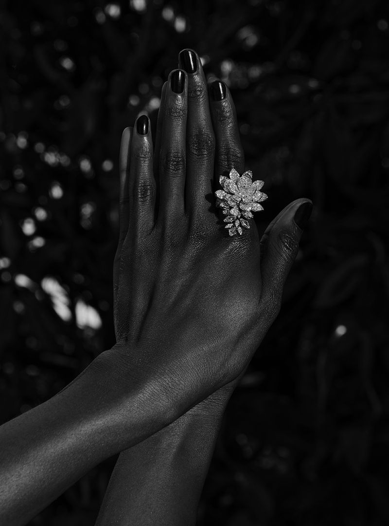 Cartier (Harper's Bazaar Netherlands)