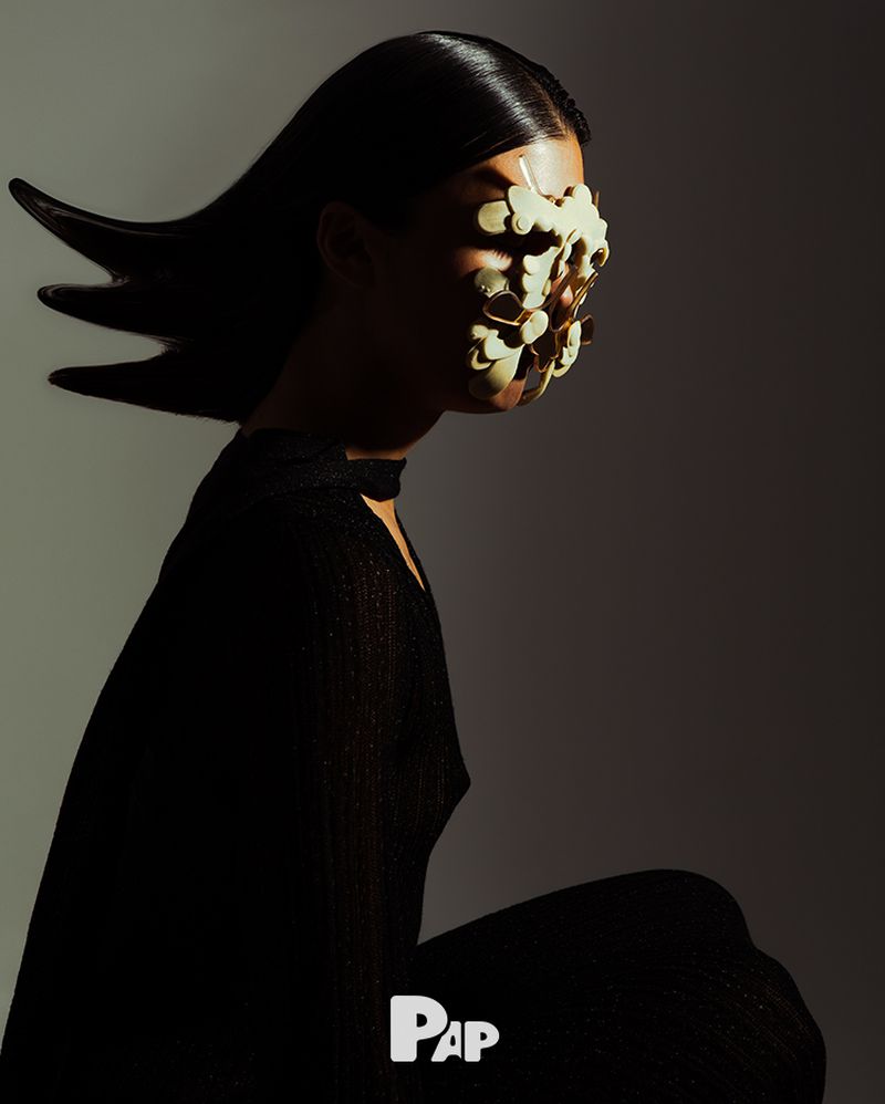 Vision (PAP Magazine)