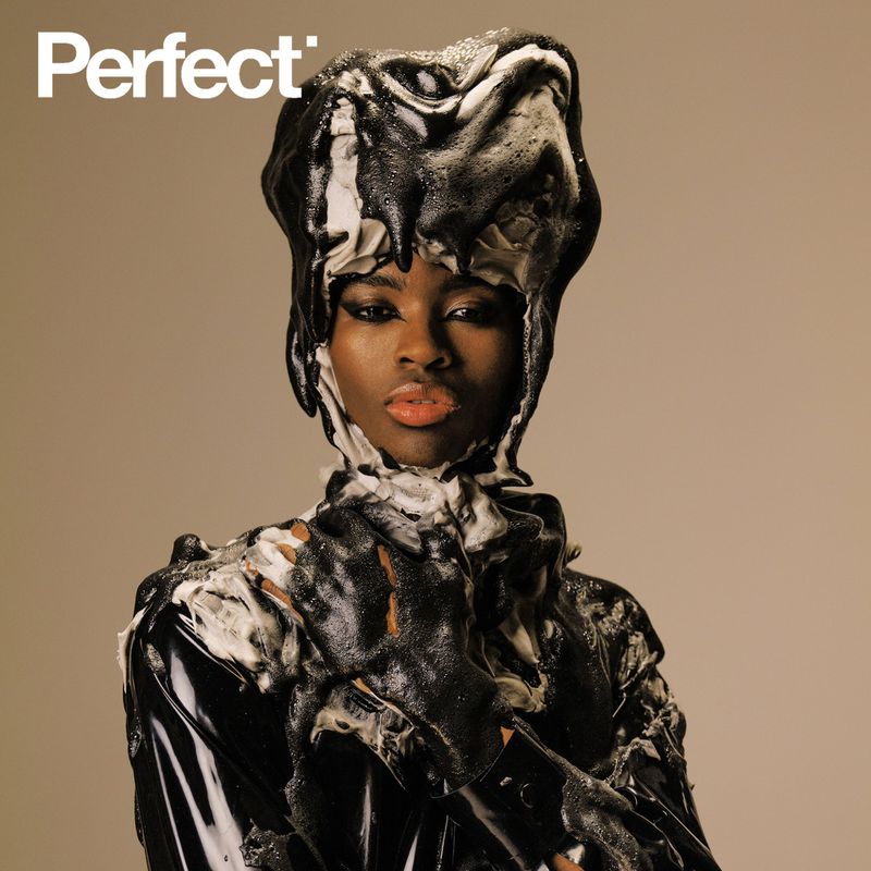 The Perfect Magazine Issue 3 F/W 2022 Covers (The Perfect Magazine)