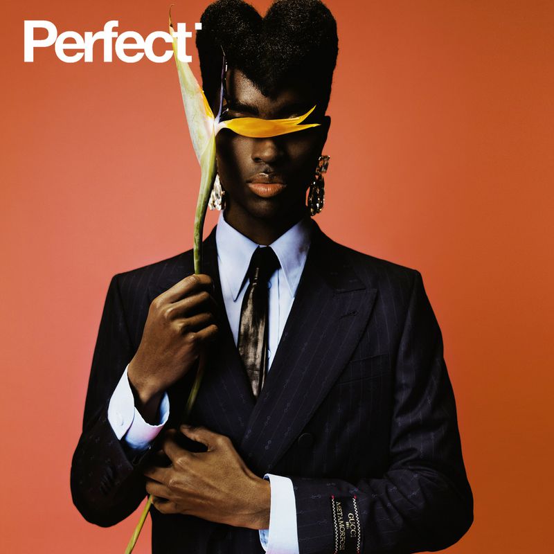 The Perfect Magazine Issue 3 F/W 2022 Covers (The Perfect Magazine)