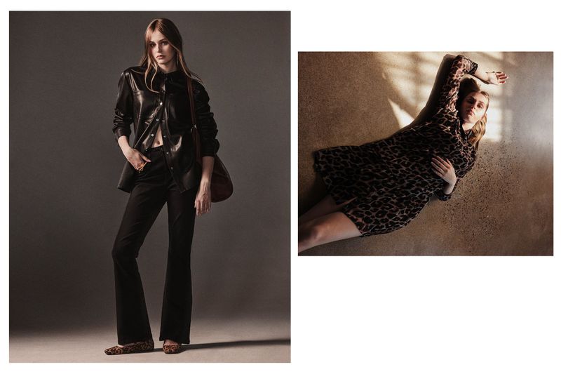 STS Fall 2024 Campaign (Various Campaigns)