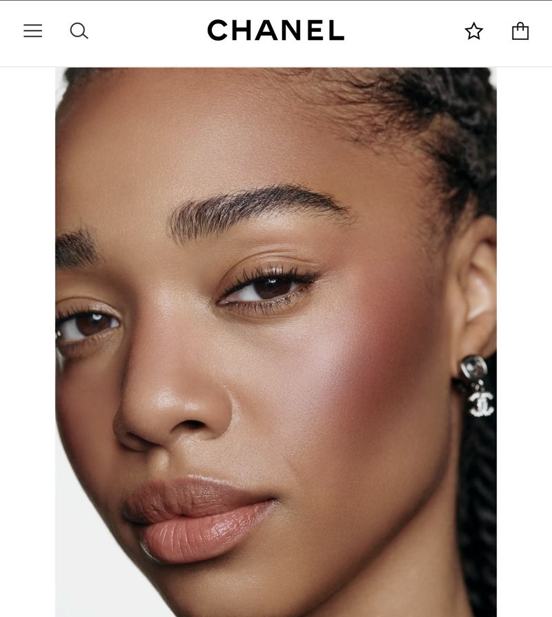 Chanel Les Beiges Poudres (Chanel Beauty)