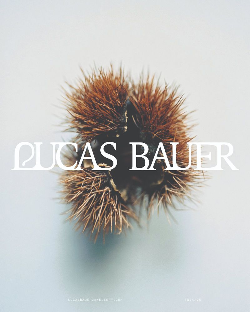 Lucas Bauer Fall 2024 Campaign (Various Campaigns)