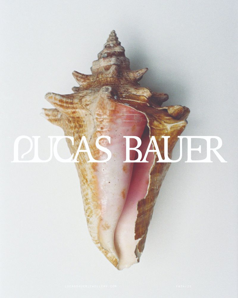 Lucas Bauer Campaign (Various Campaigns)