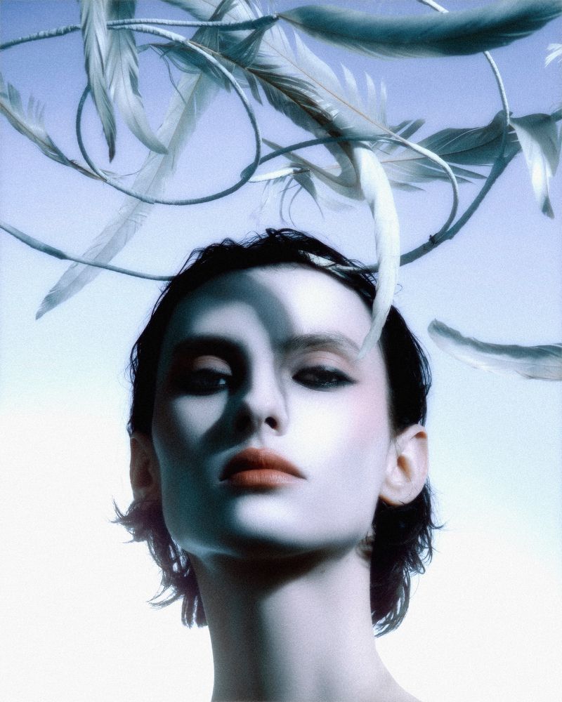 Siren Song (Numéro Netherlands)
