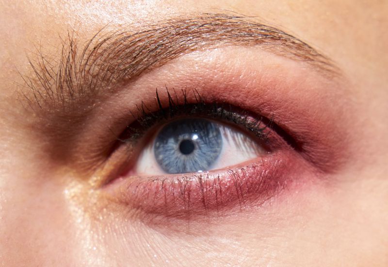 Perfect Day (Zoo Magazine)