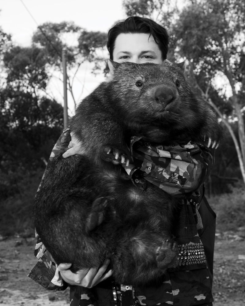 Toby Boorne Davidson, The Wombat Guy (More or Less Magazine)