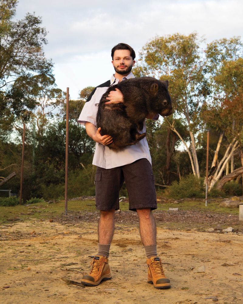 Toby Boorne Davidson, The Wombat Guy (More or Less Magazine)