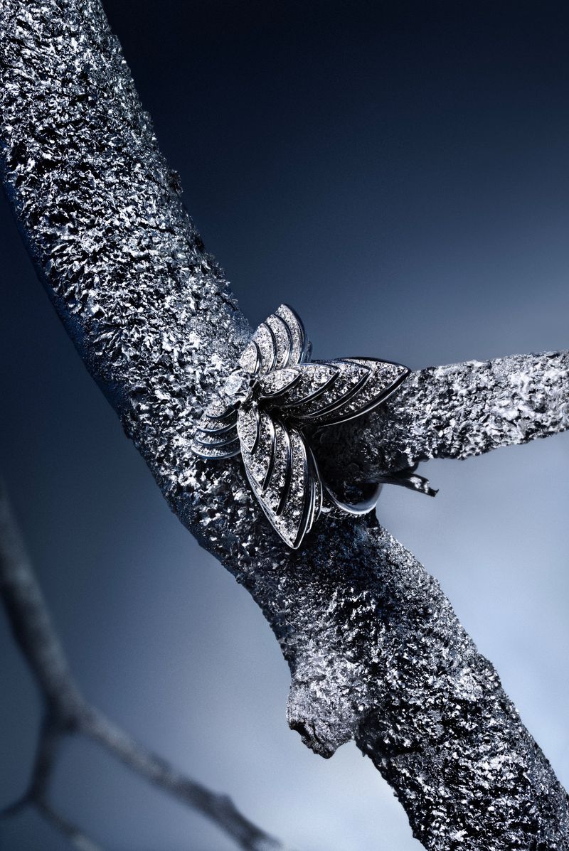 VANTA (Numéro Netherlands)