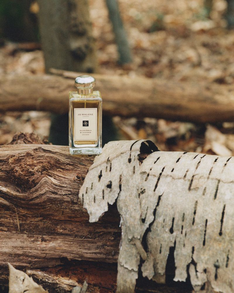 Jo Malone Spring 2024: Into the woods campaign (Jo Malone)