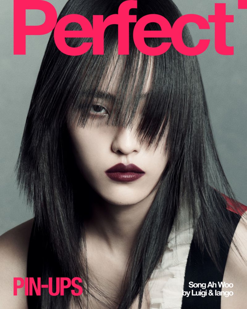 The Perfect Magazine Issue 8 Spring/Summer 2025 Covers (The Perfect ...