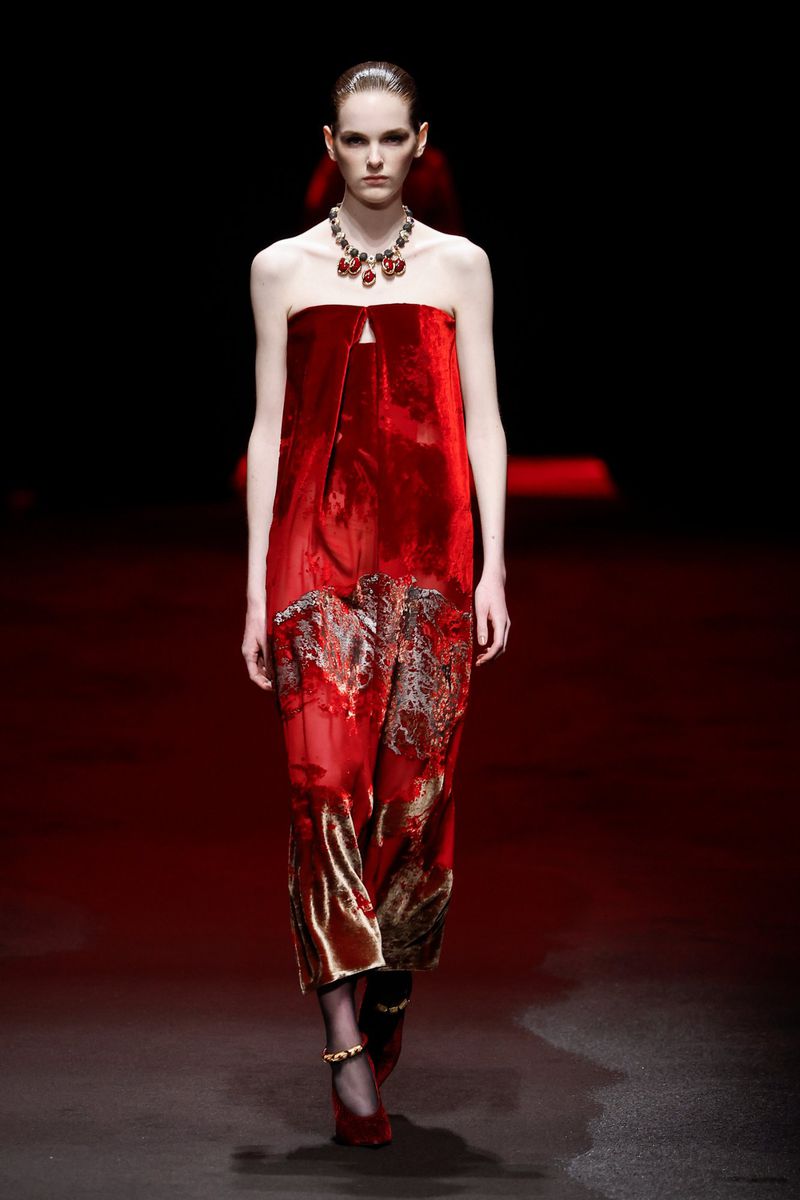 Roberto Cavalli F/W 25 Show (Roberto Cavalli)