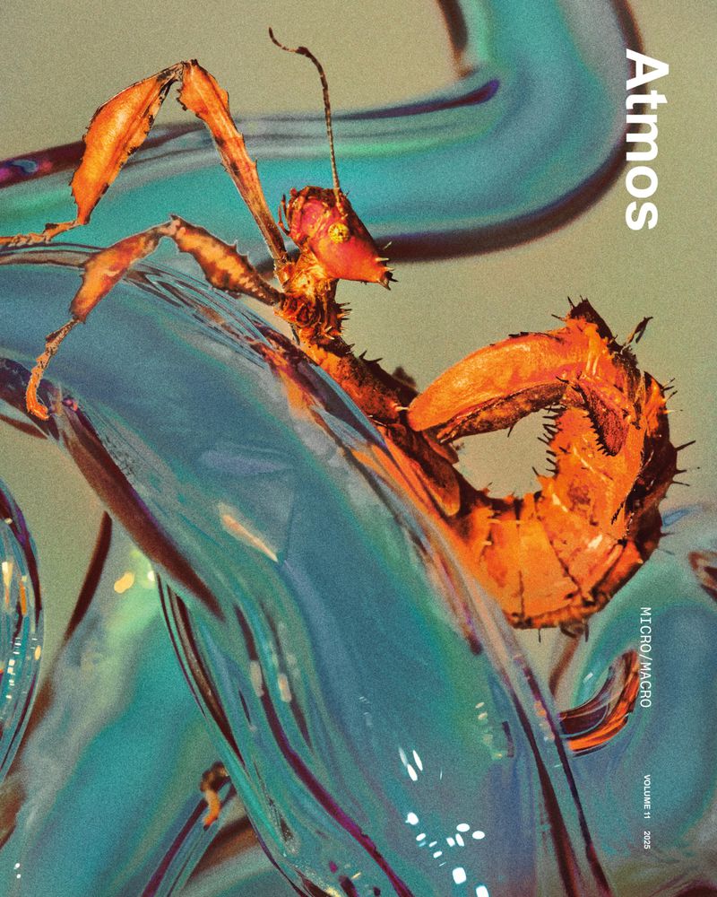 Atmos Magazine Vol 11 Covers (Atmos Magazine)