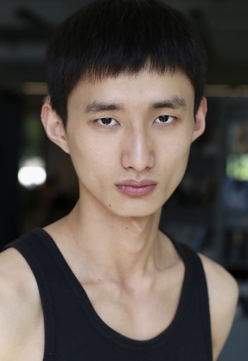 Liyang Huang - Model - detail by year