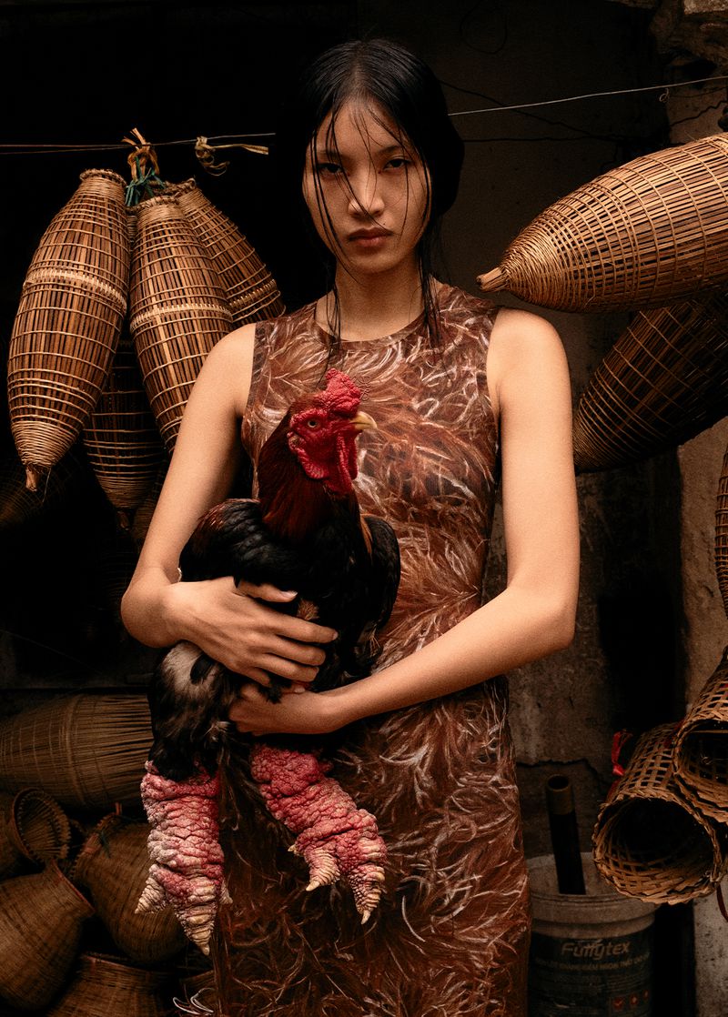 The Ascending Dragon (Grazia International)