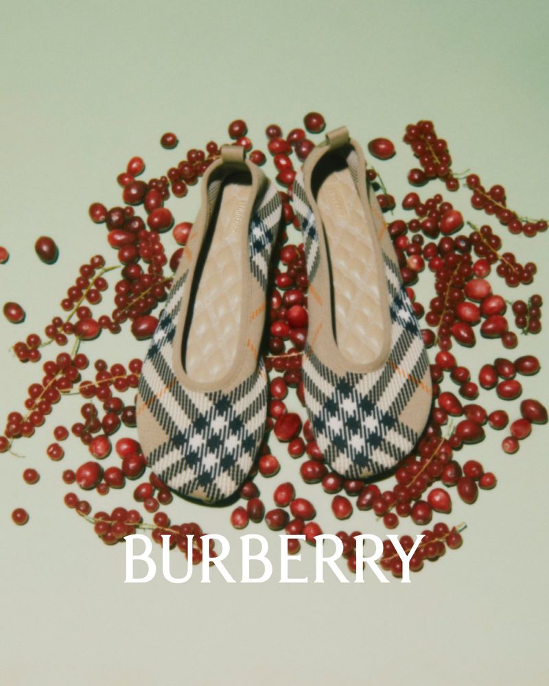 Burberry Holiday (Burberry)