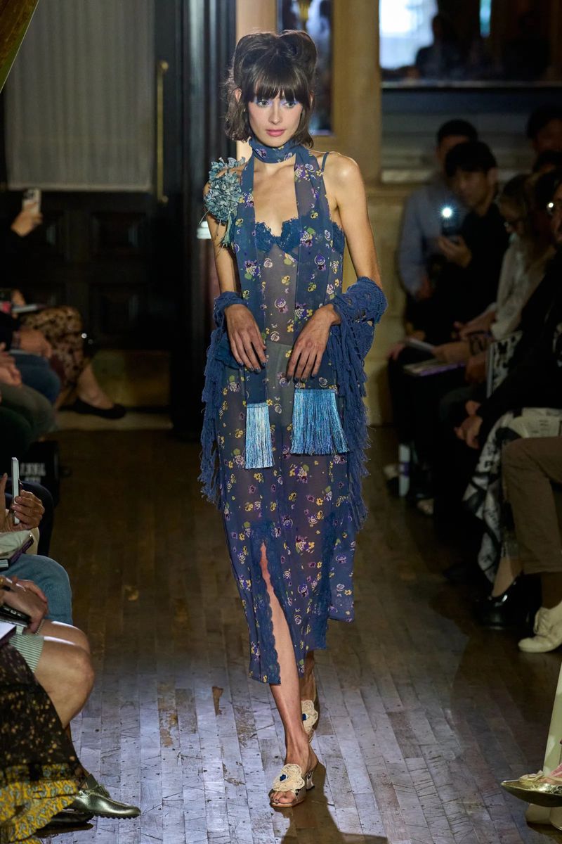 Anna Sui S/S 26 Show (Anna Sui)