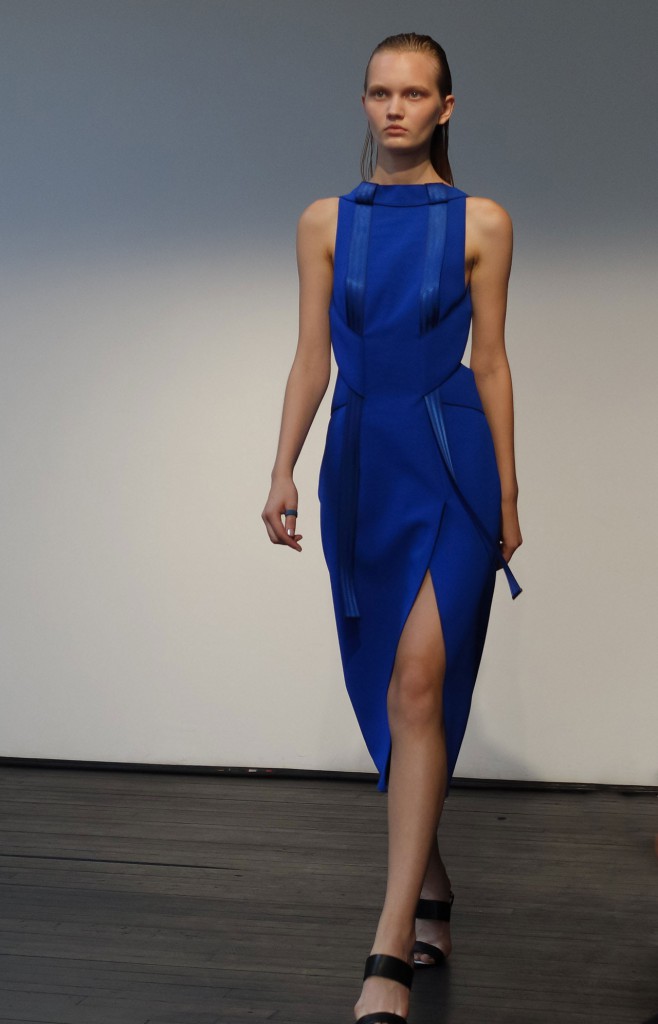 Dion Lee S/S 2015 | models.com MDX
