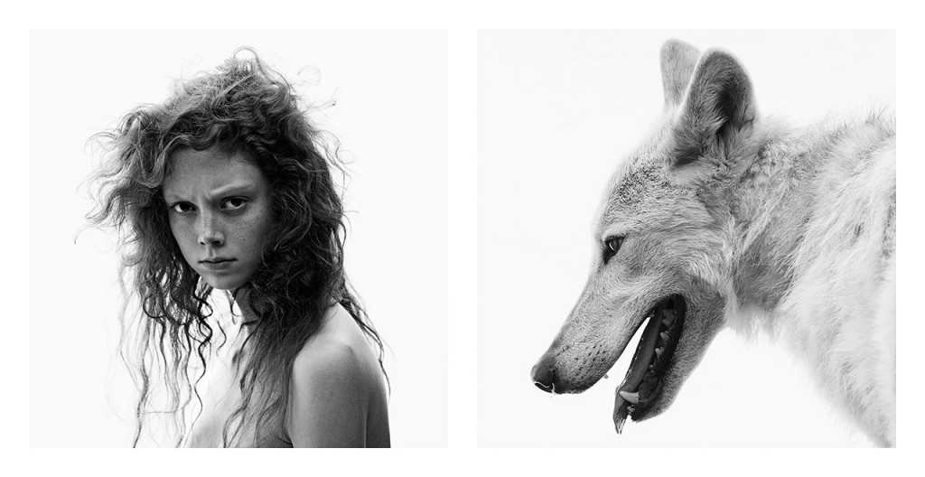 My Dream for Animals | models.com MDX